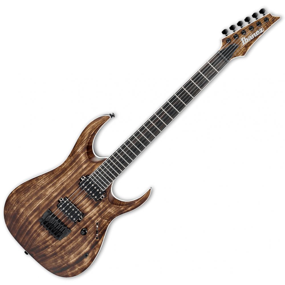 Электрогитара Ibanez RGAIX6U-ABS Iron Label: купить в Минске и Беларуси ...