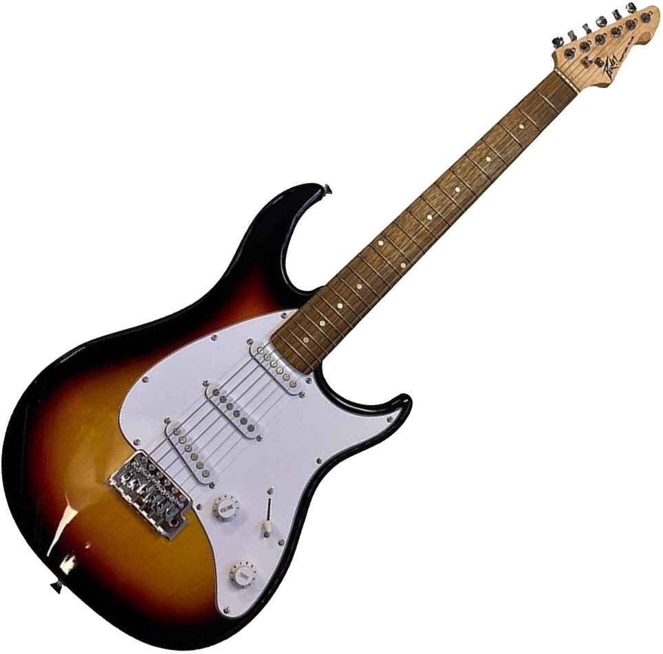 Электрогитара Peavey Raptor Plus SSS Sunburst: купить в Минске и ...